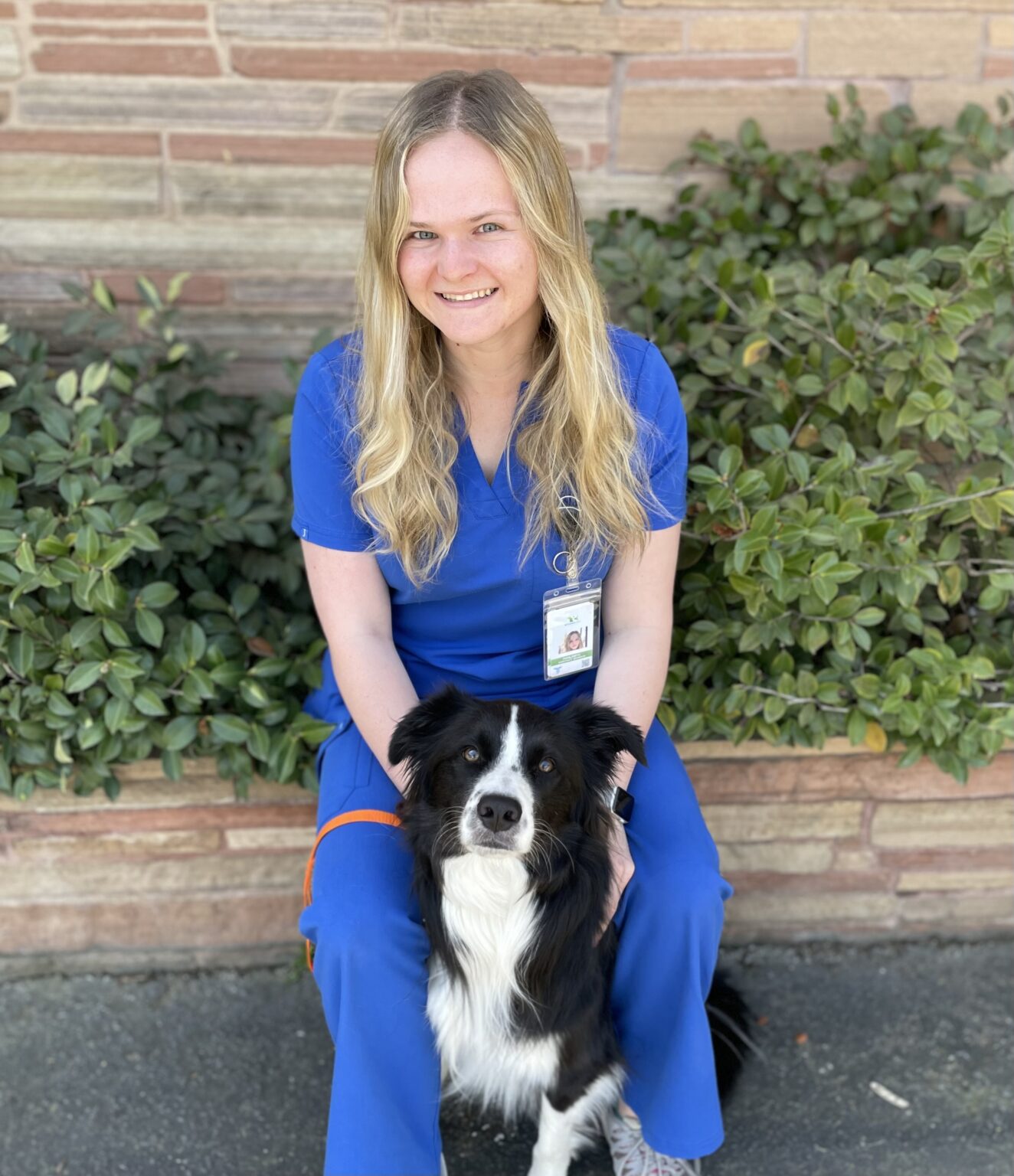 Our Staff - Erickson Veterinary Hospital